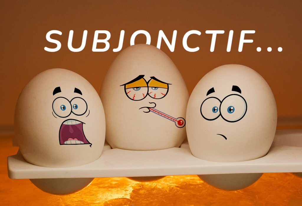 The 10 Irregular Verbs in the French Subjunctive Mood – Blog Learn ...